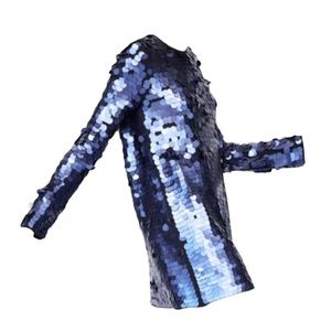 Zara | Dresses | Nwt Gorgeous Zara Limited Edition Blue Sequin Knit ...